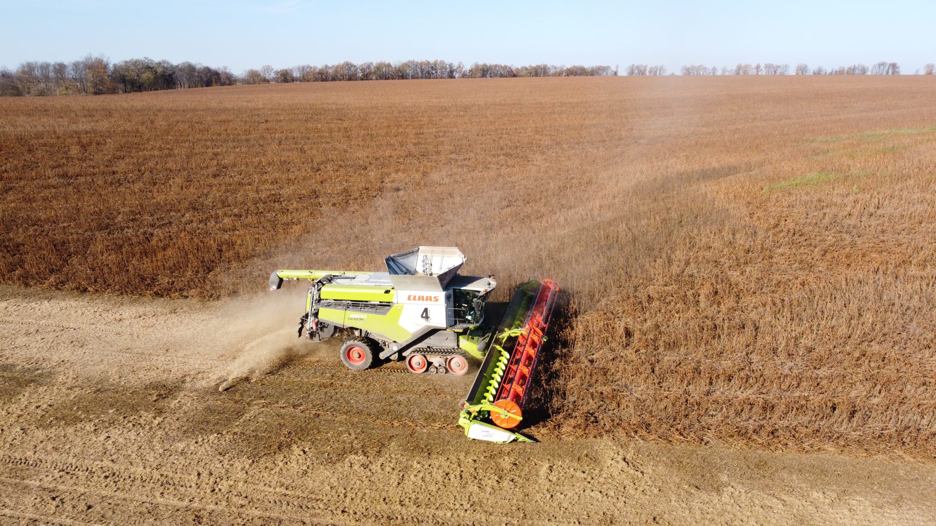 Soja po zbiorach - Agroprofil